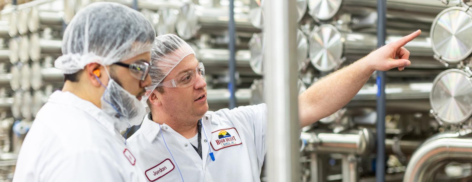 STRAP Program | Workforce | CSI